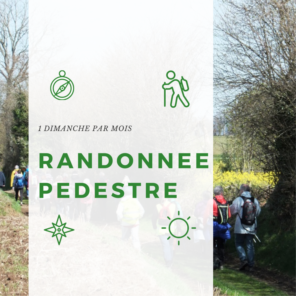 Randonnée pédestre